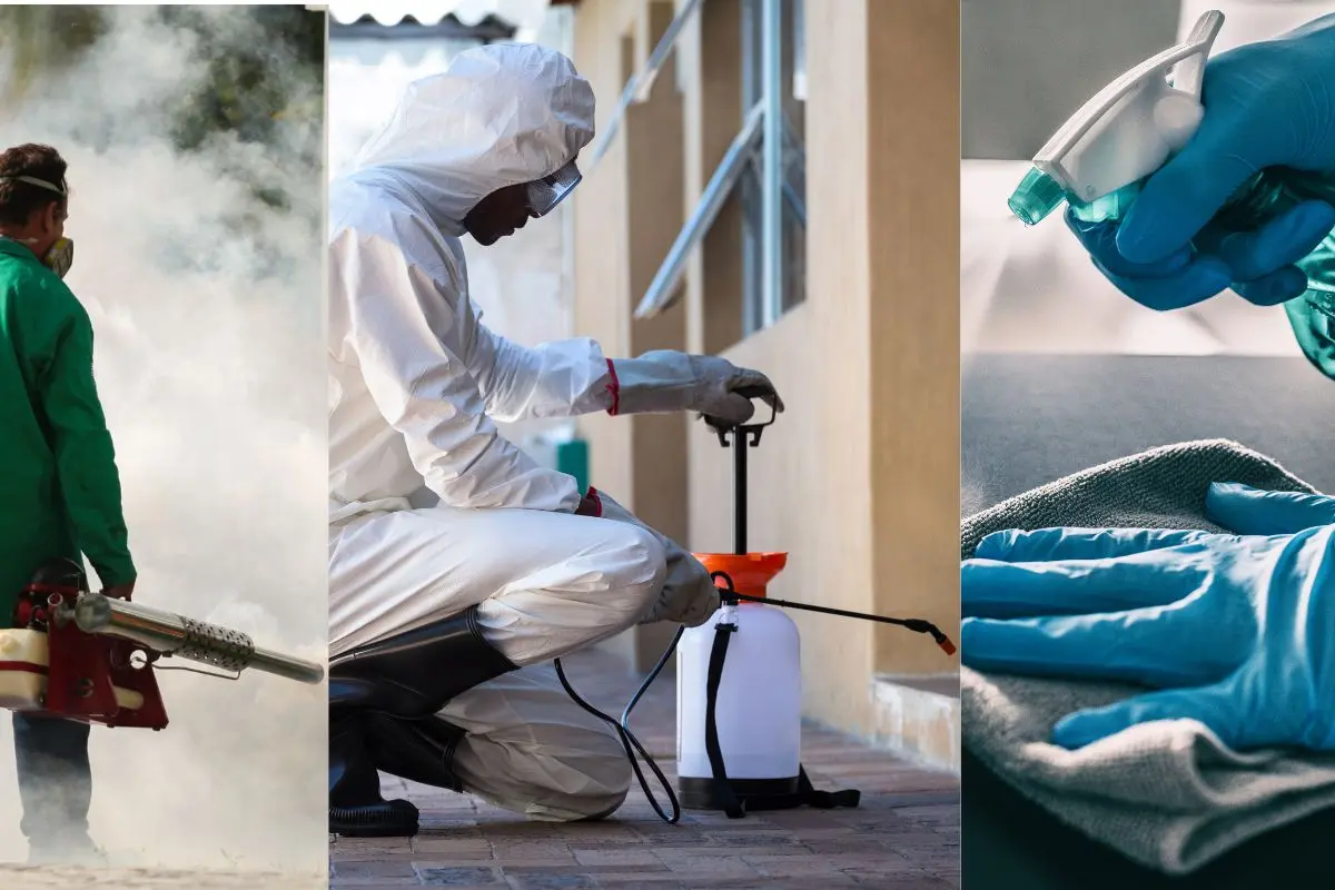 Qué es el Control Integral de Plagas y Cómo se Implementa